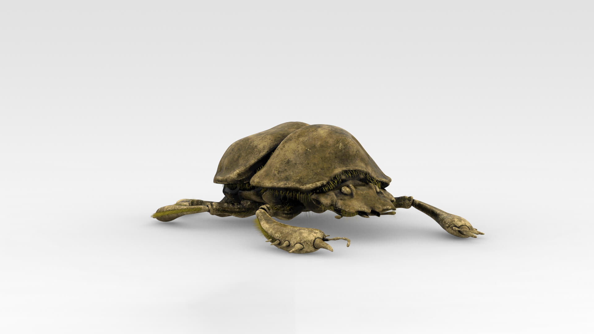 Golden Scarab - Insect 3D Model by Trish