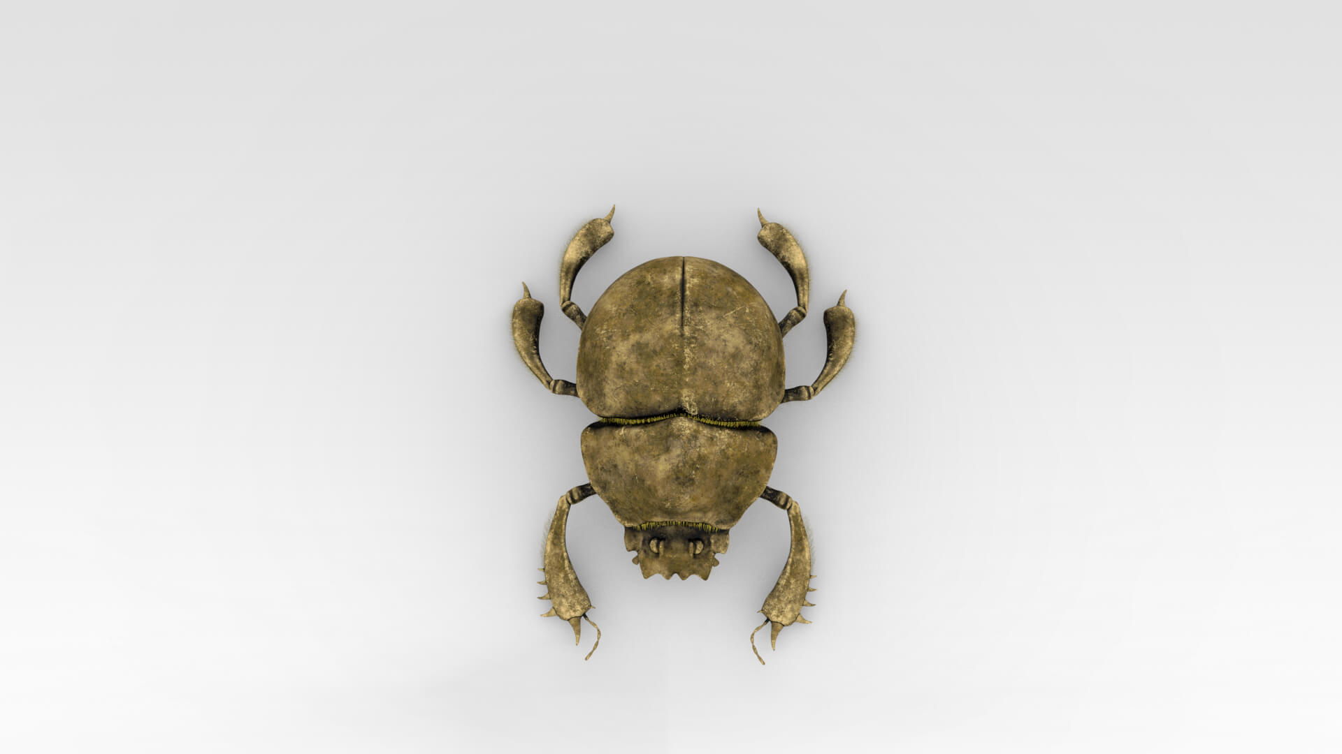 Golden Scarab - Insect 3D Model by Trish