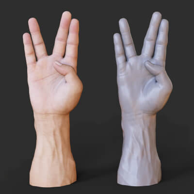 Male Hand Pose Gesture 17 - 3D Model by Trish