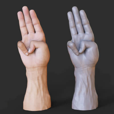 Male Hand Pose Gesture 18 - 3D Model by Trish