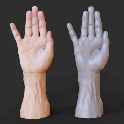Male Hand Pose Gesture 19 - 3D Model by Trish