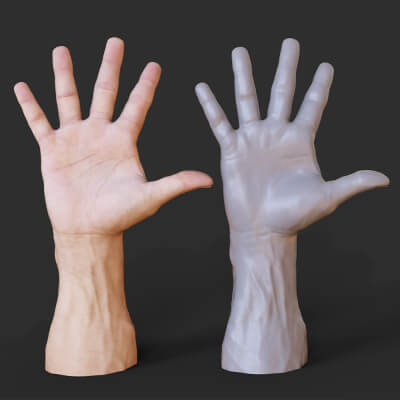 Male Hand Pose Gesture 20 - 3D Model by Trish