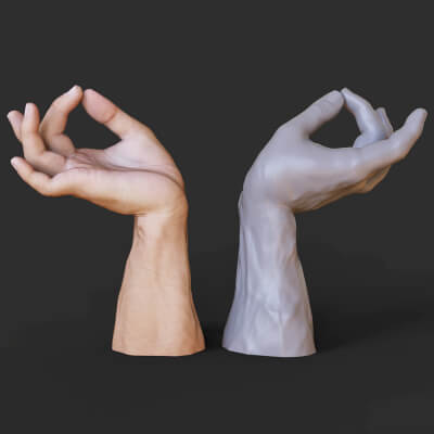 Male Hand Pose Gesture 27 - 3D Model by Trish