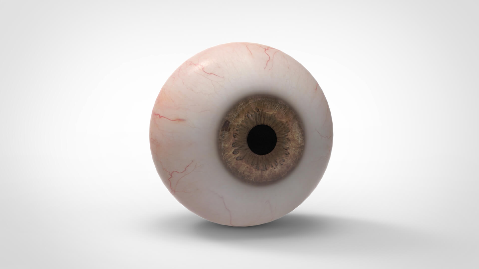 Realistic Eye - 3D Model by Trish