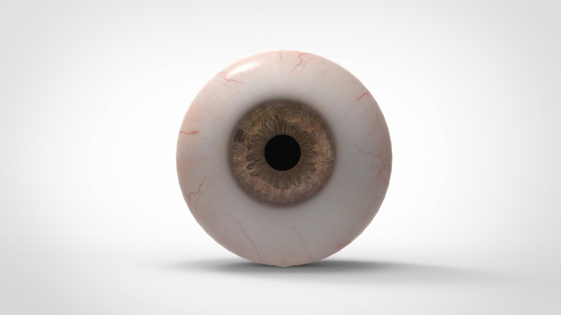Realistic Eye - 3D Model by Trish