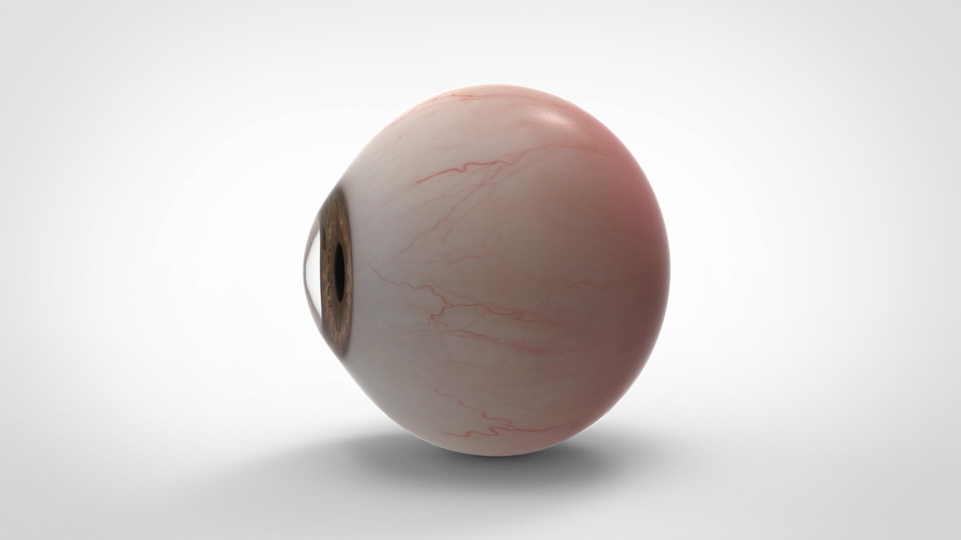 Realistic Eye - 3D Model by Trish