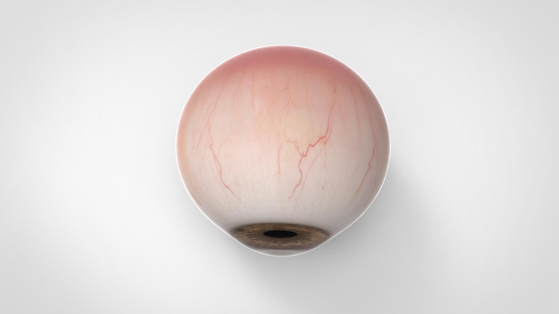 Realistic Eye - 3D Model by Trish