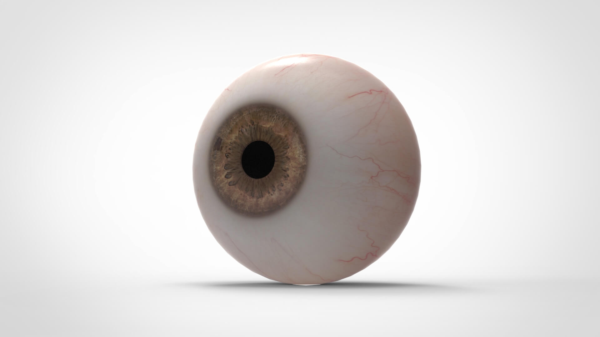 Realistic Eye - 3D Model by Trish