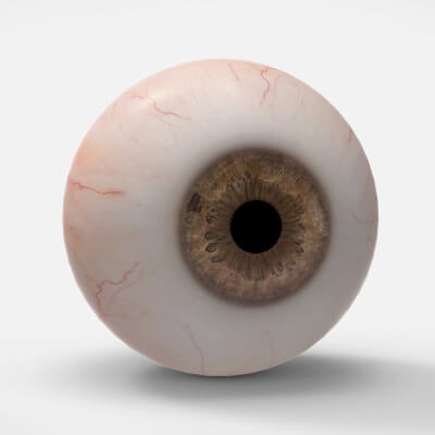 Realistic Eye - 3D Model by Trish