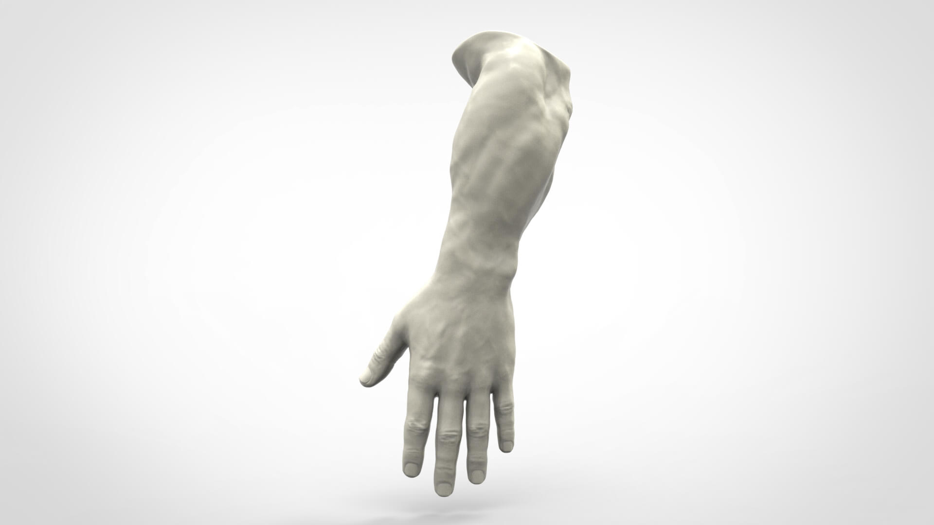 Realistic Human Hand - 3D Model by Trish