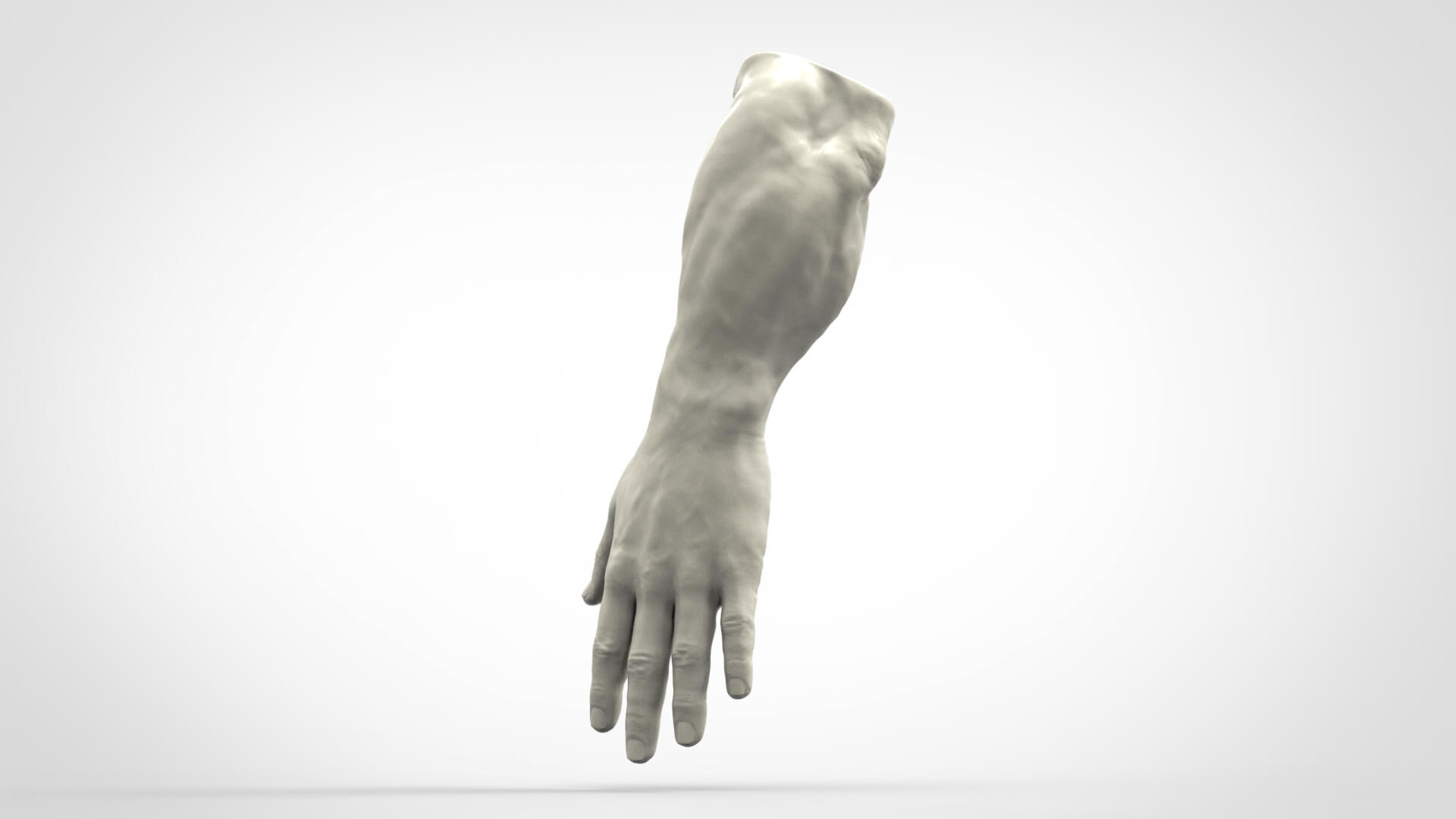 Realistic Human Hand - 3D Model by Trish