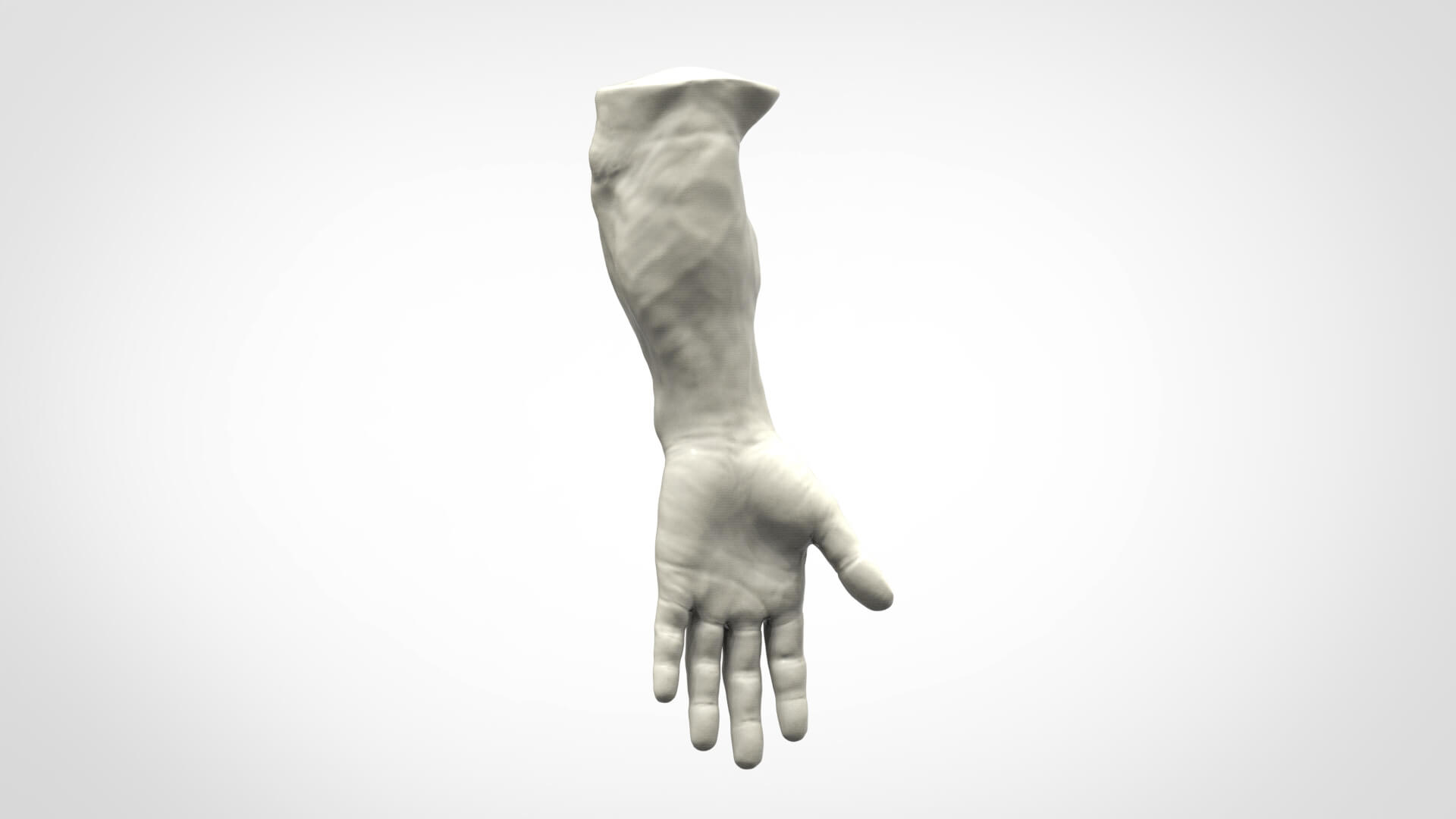 Realistic Human Hand - 3D Model by Trish