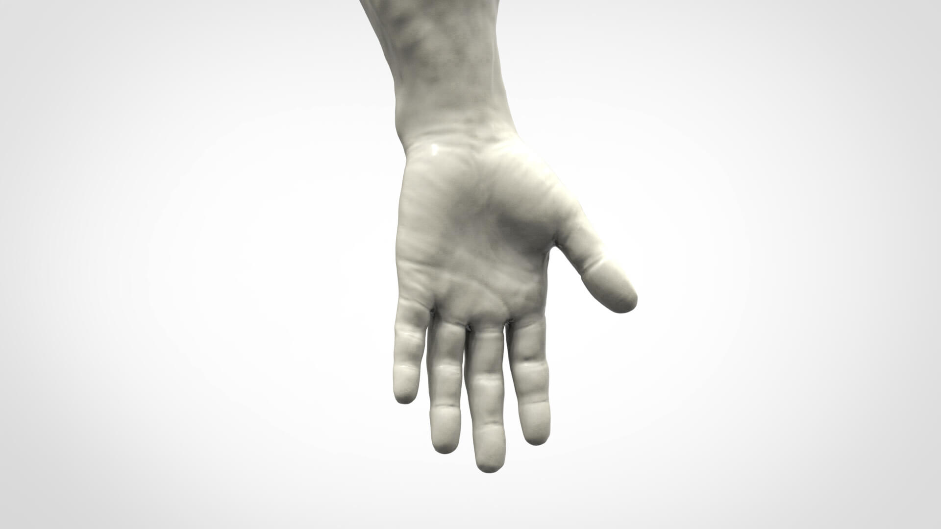 Realistic Human Hand - 3D Model by Trish