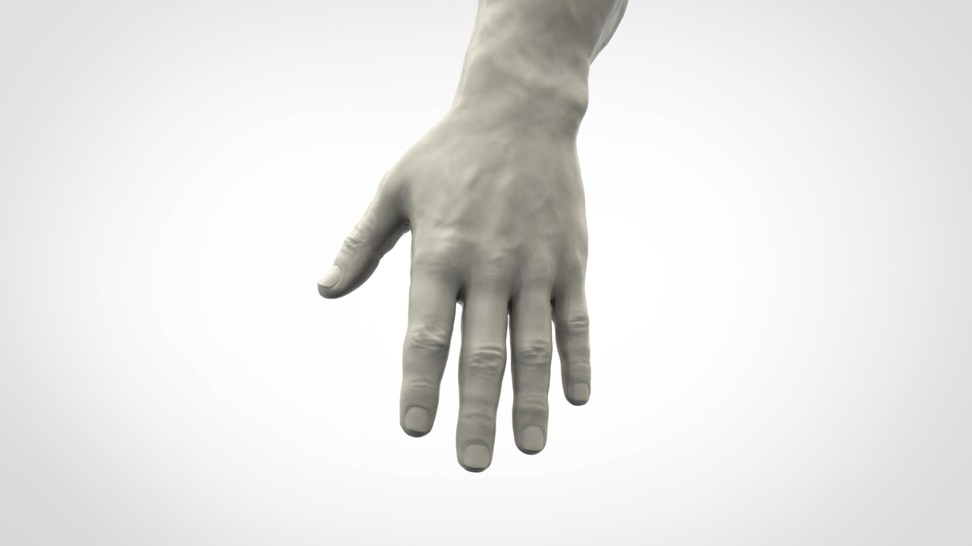Realistic Human Hand - 3D Model by Trish