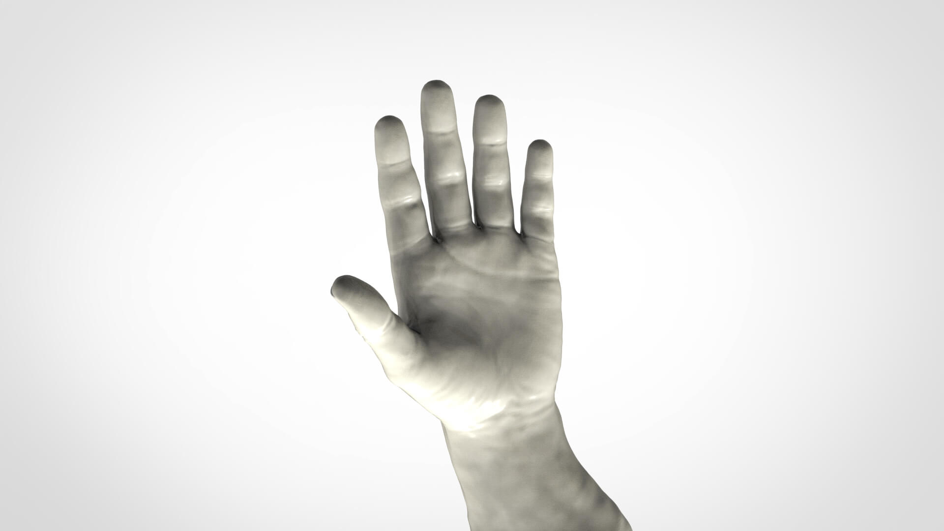 Realistic Human Hand - 3D Model by Trish