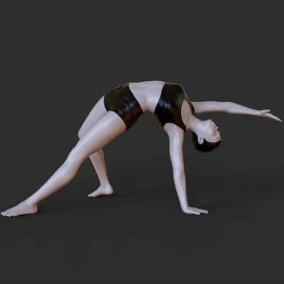 Yoga Pose - Wild Thing Pose - Camatkarasana 3D Model by Trish