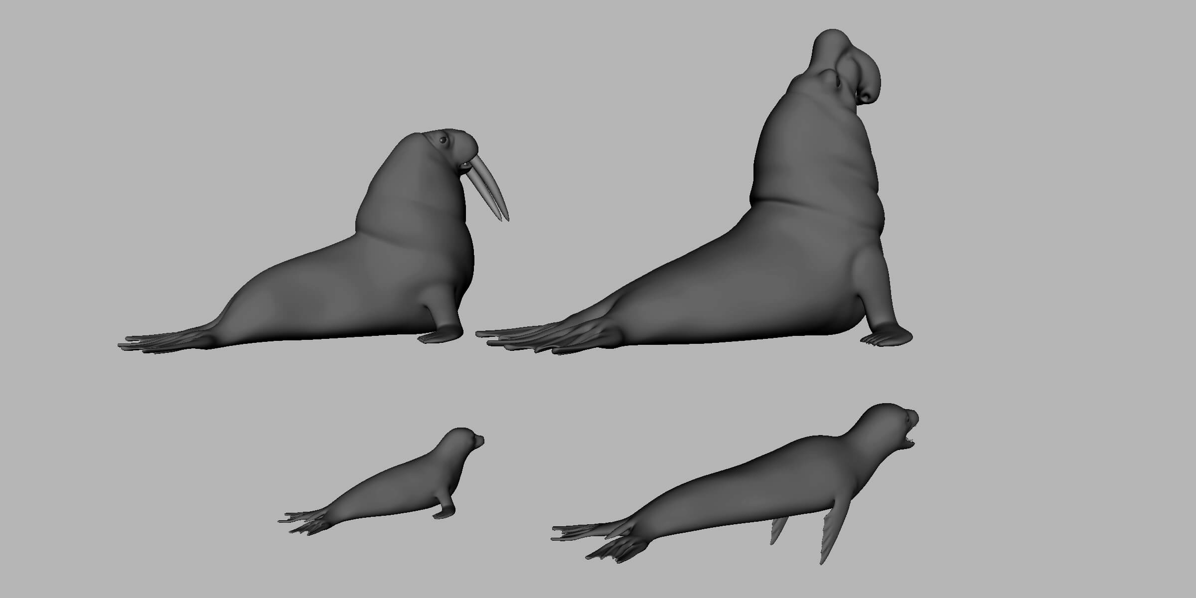 4 Seal Pack - Topology + UV Map 3D Model by Tsering