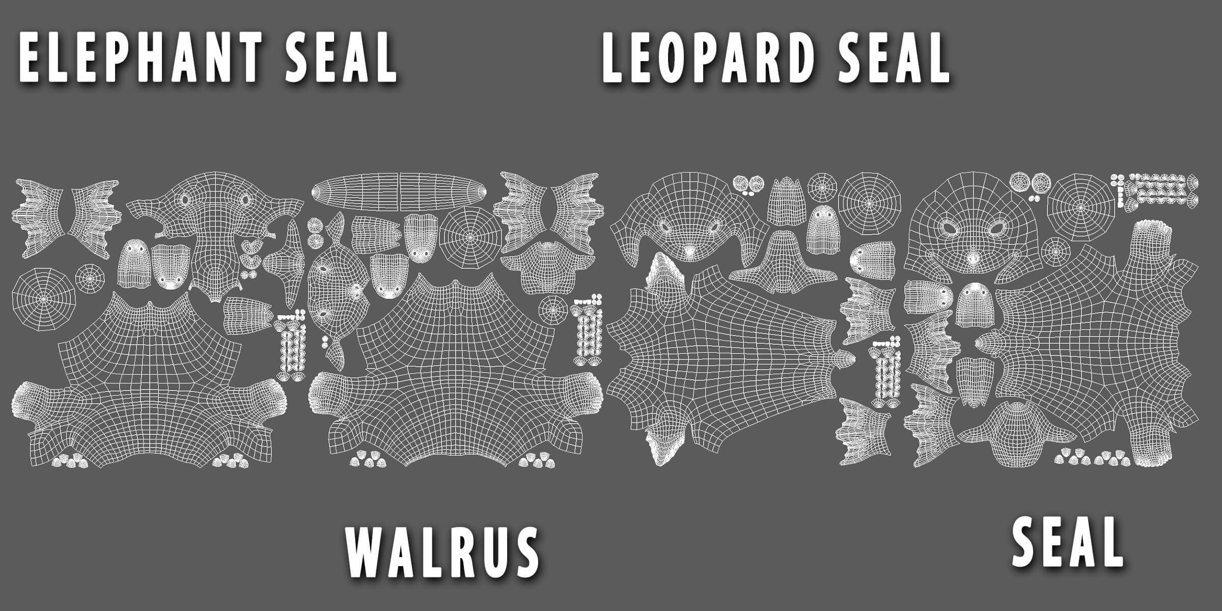 4 Seal Pack - Topology + UV Map 3D Model by Tsering