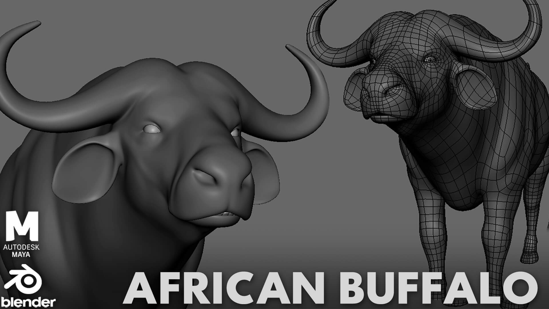 16 Wild Animal Collection - 3D Model by Tsering