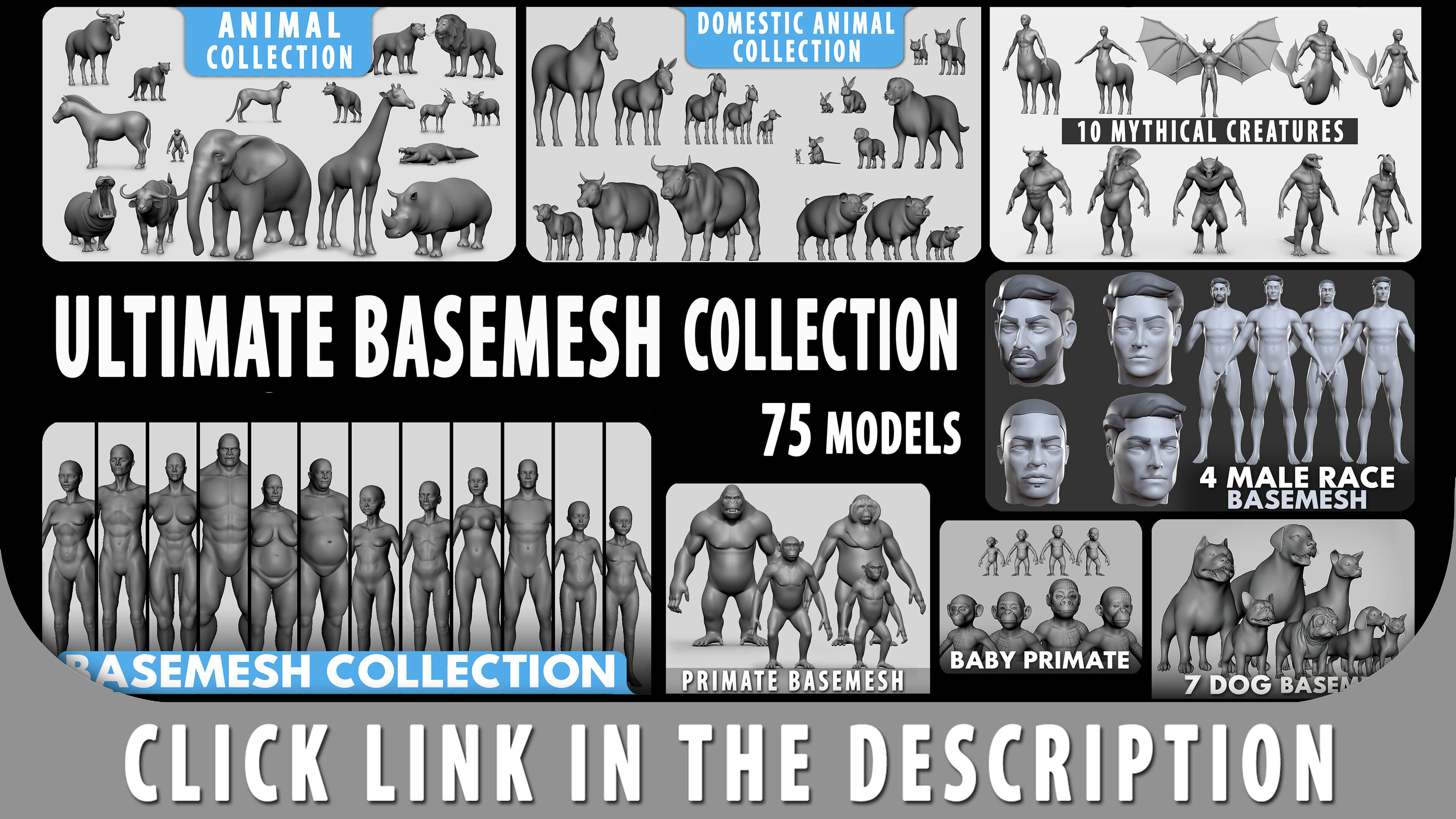 16 Wild Animal Collection - 3D Model by Tsering