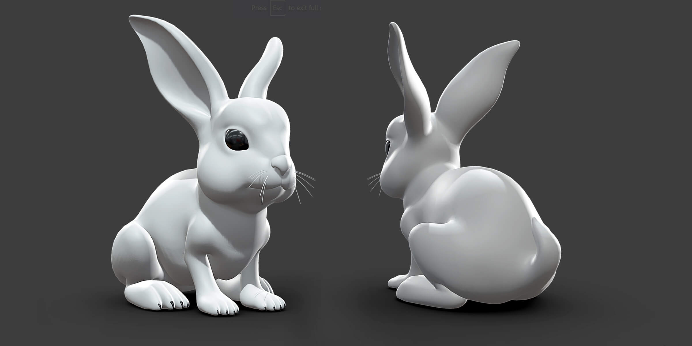 Baby Rabbit - Topology UV Map 3D Model by Tsering