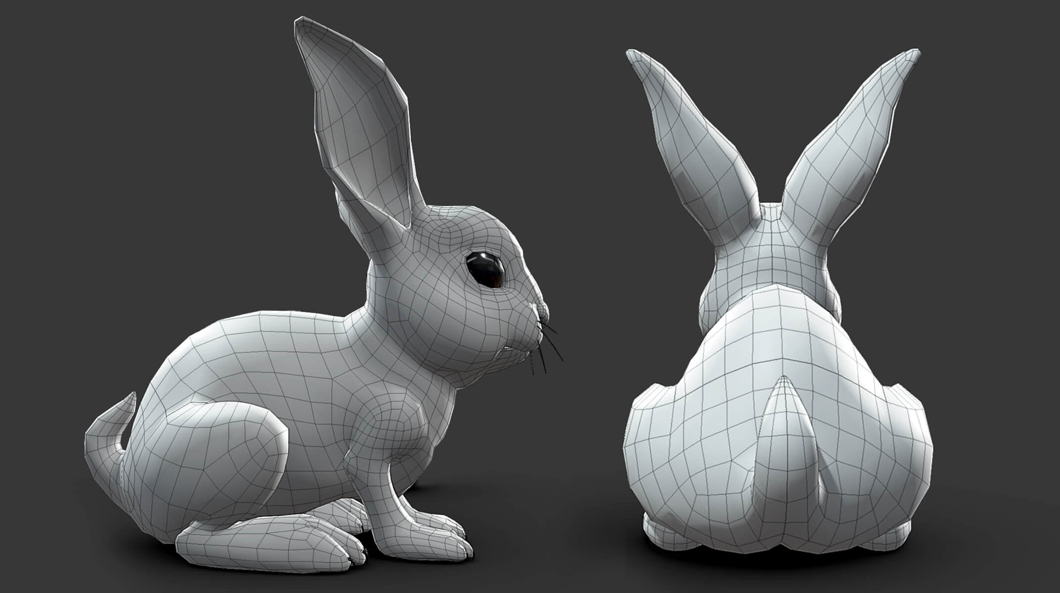 Baby Rabbit - Topology + UV Map 3D Model by Tsering