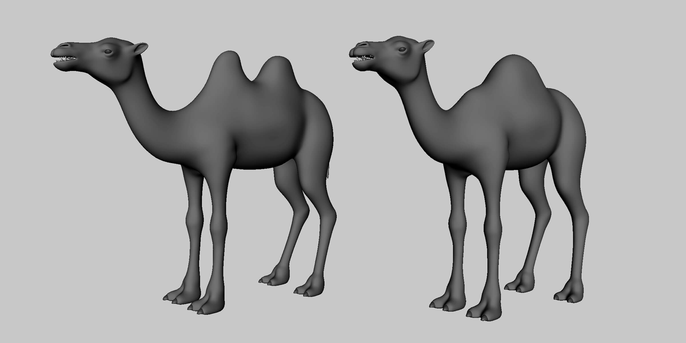 Camel Pack - Topology + UV Map 3D Model by Tsering