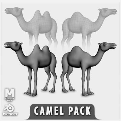 Camel Pack - Topology + UV Map 3D Model by Tsering