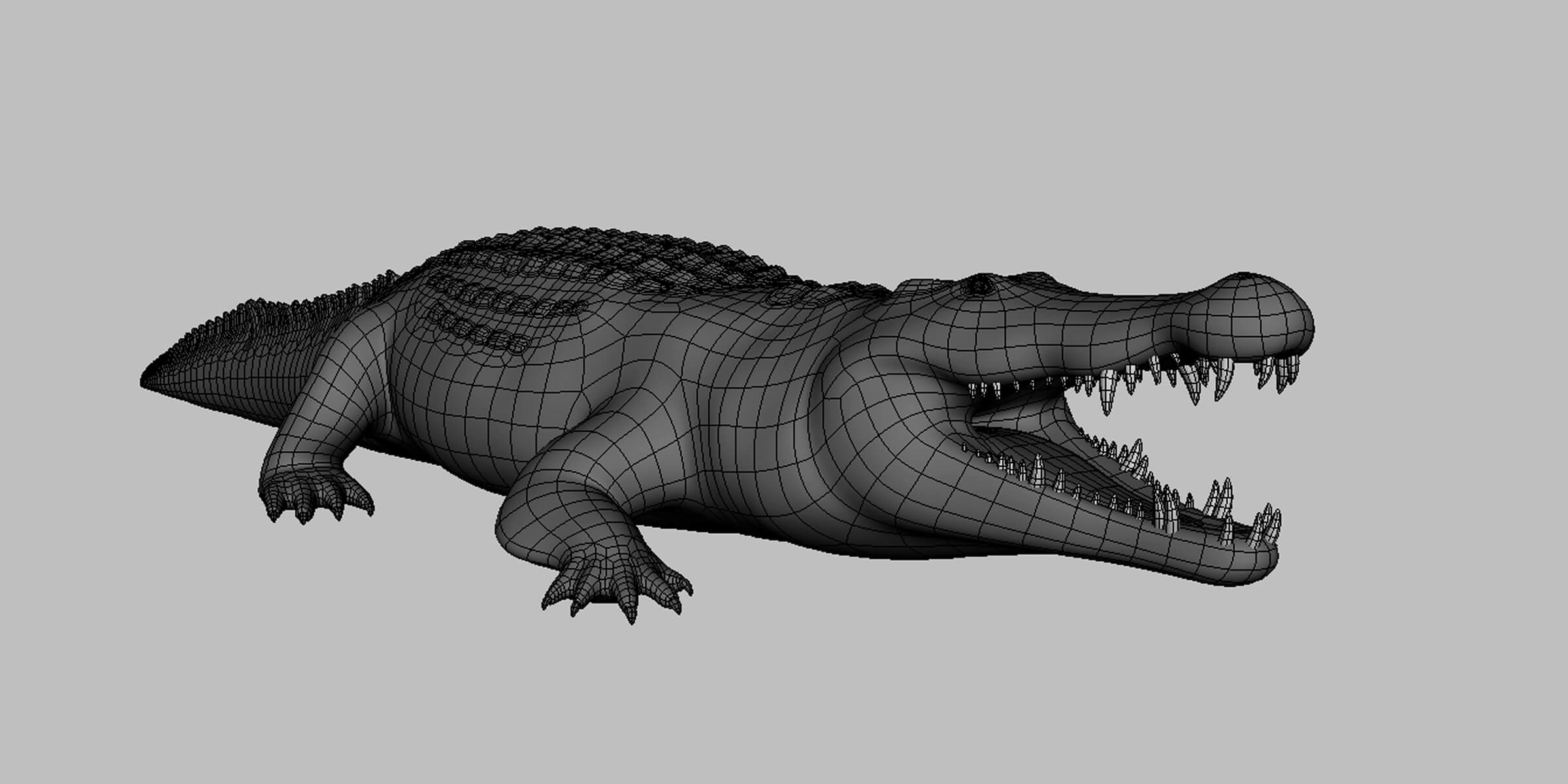 Crocodile Basemesh - Topology UV Map 3D Model by Tsering