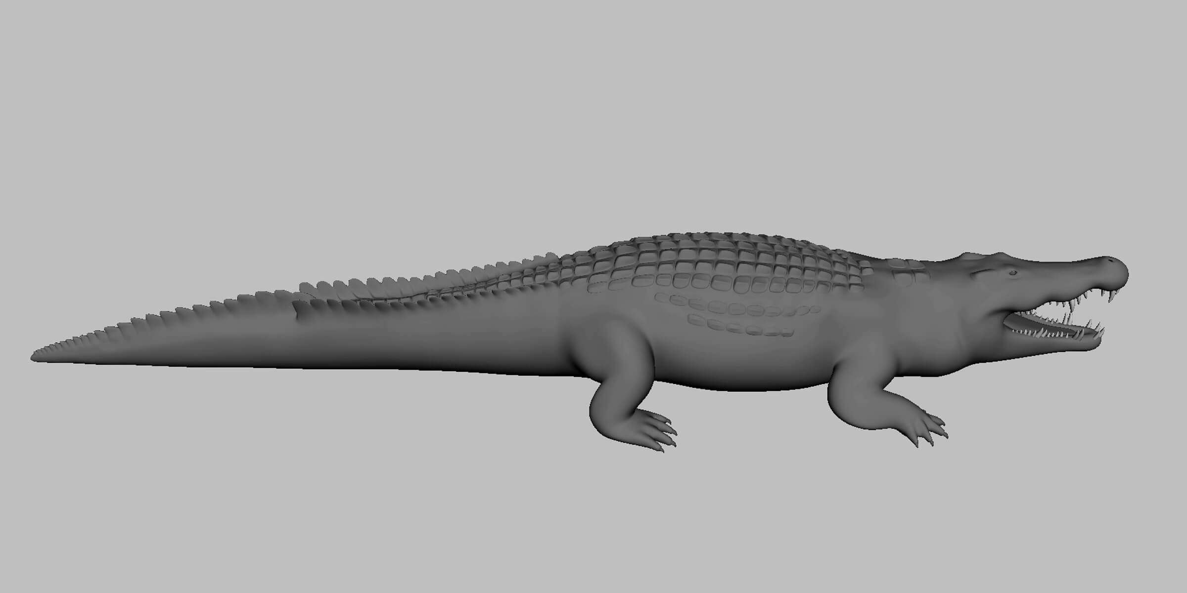 Crocodile Basemesh - Topology + UV Map 3D Model by Tsering