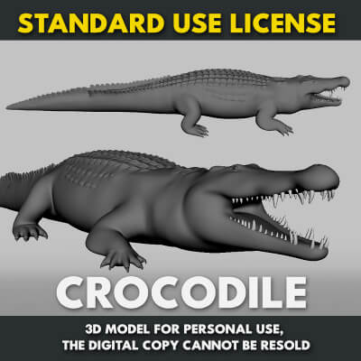 Crocodile Basemesh - Topology UV Map 3D Model by Tsering