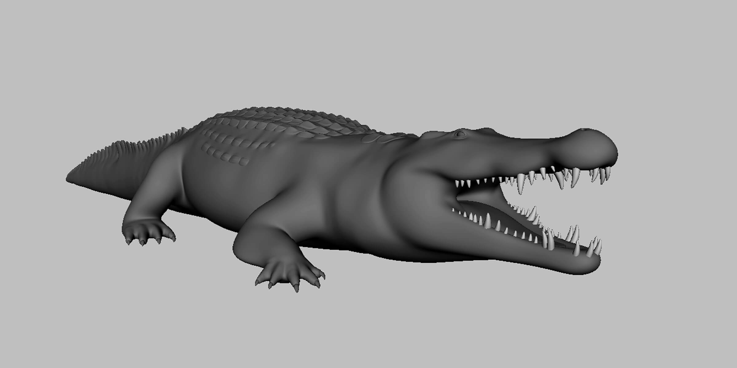 Crocodile Basemesh - Topology UV Map 3D Model by Tsering