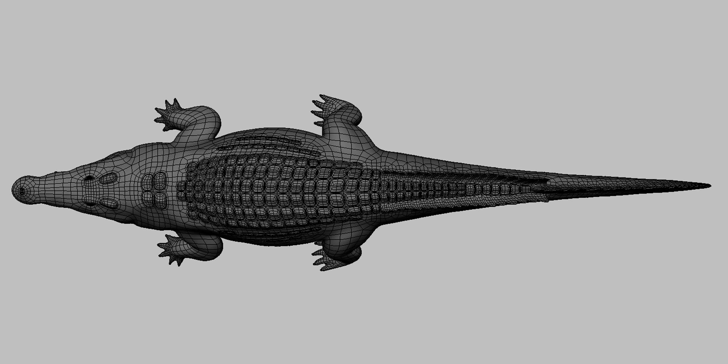 Crocodile Basemesh - Topology UV Map 3D Model by Tsering