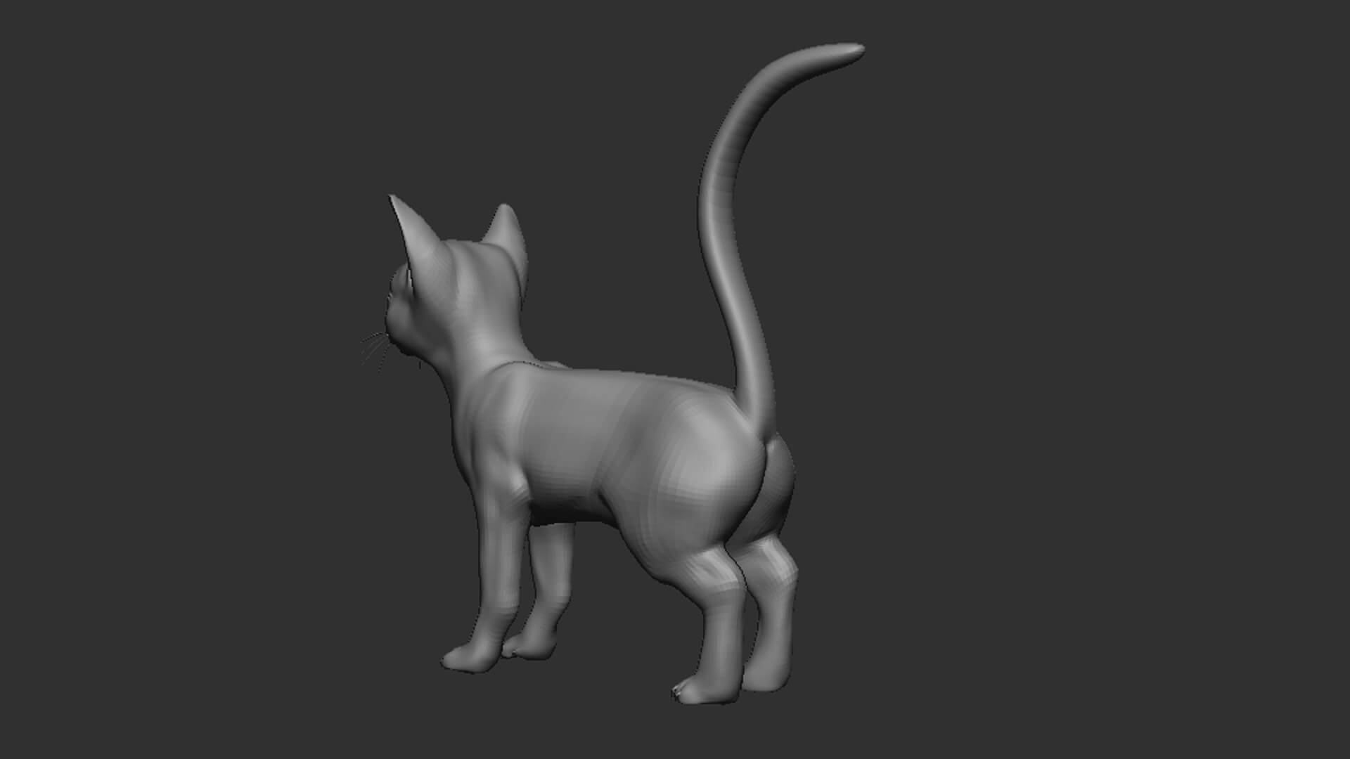Cute Cat Sculpt - 3D Model by Tsering