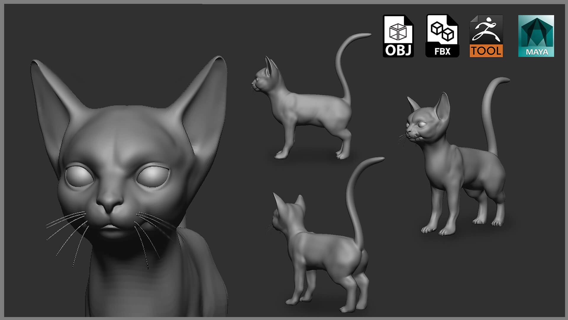 Cute Cat Sculpt - 3D Model by Tsering