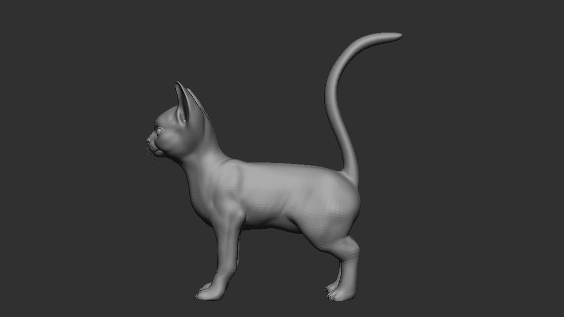 Cute Cat Sculpt - 3D Model by Tsering
