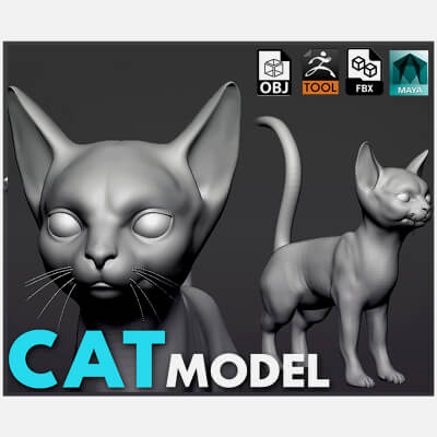 Cute Cat Sculpt - 3D Model by Tsering