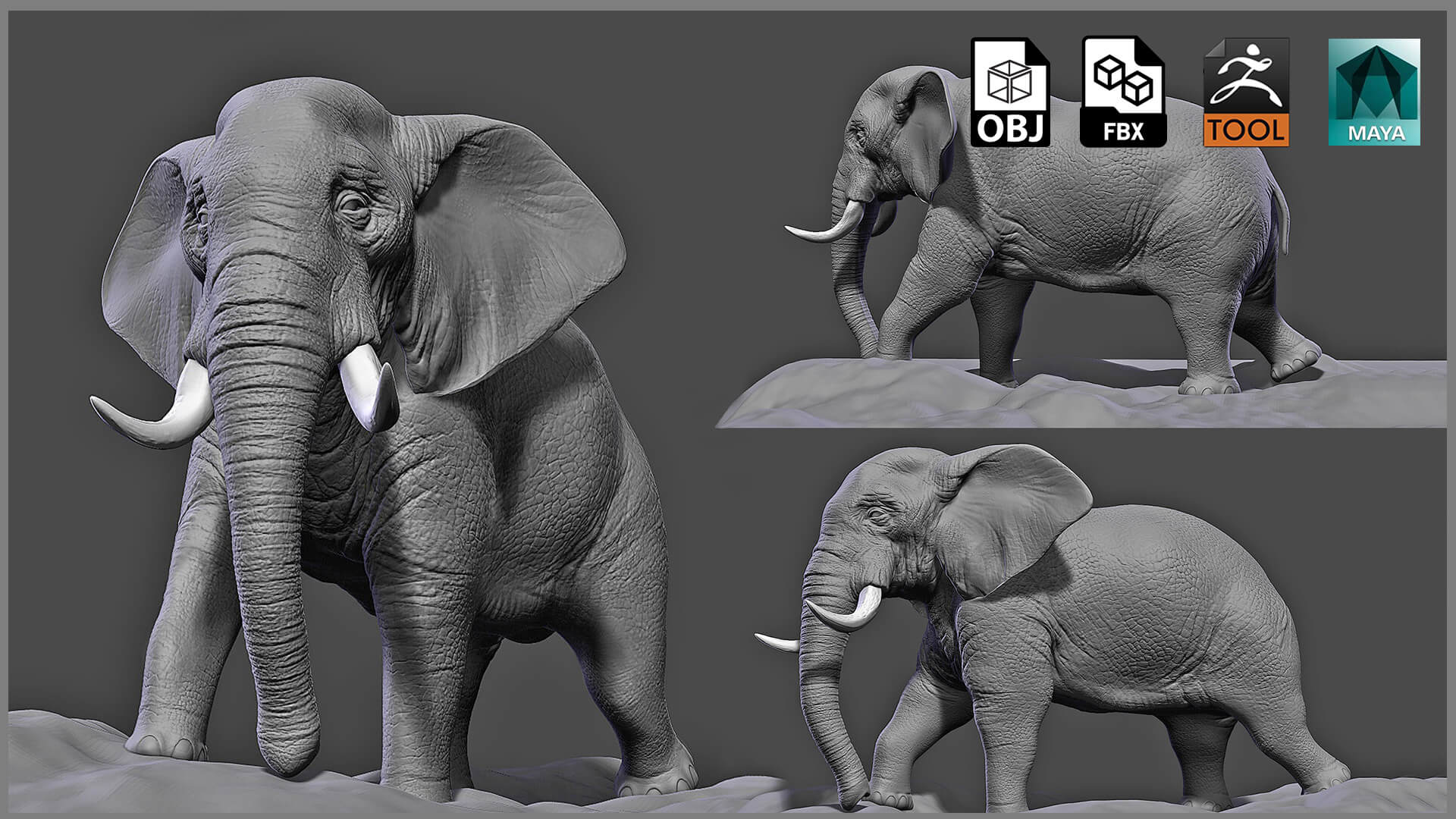 Elephant Model by Tsering