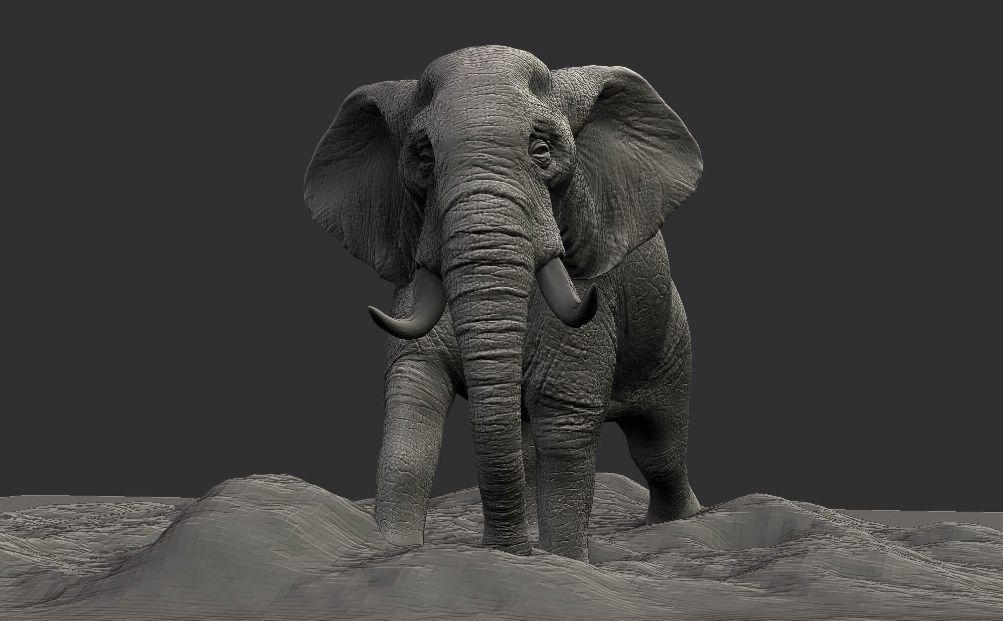 Elephant Model by Tsering