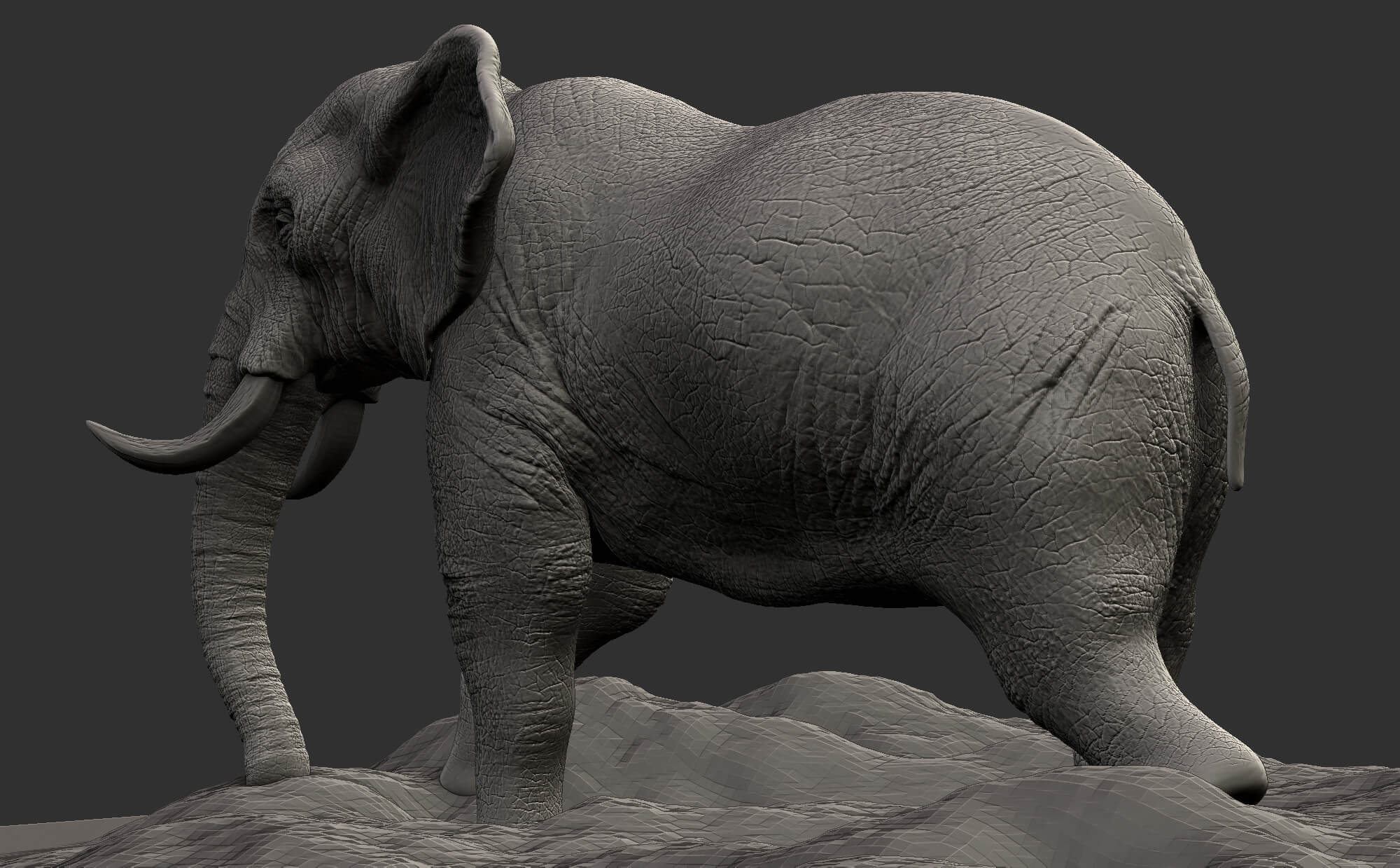 Elephant Model by Tsering