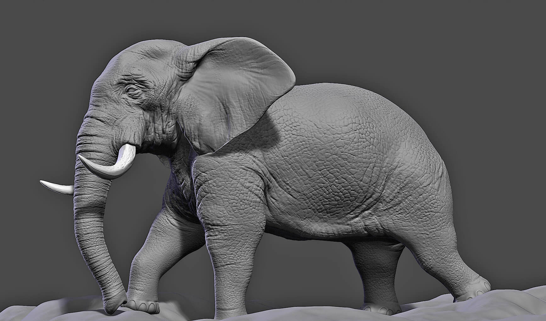 Elephant Model by Tsering