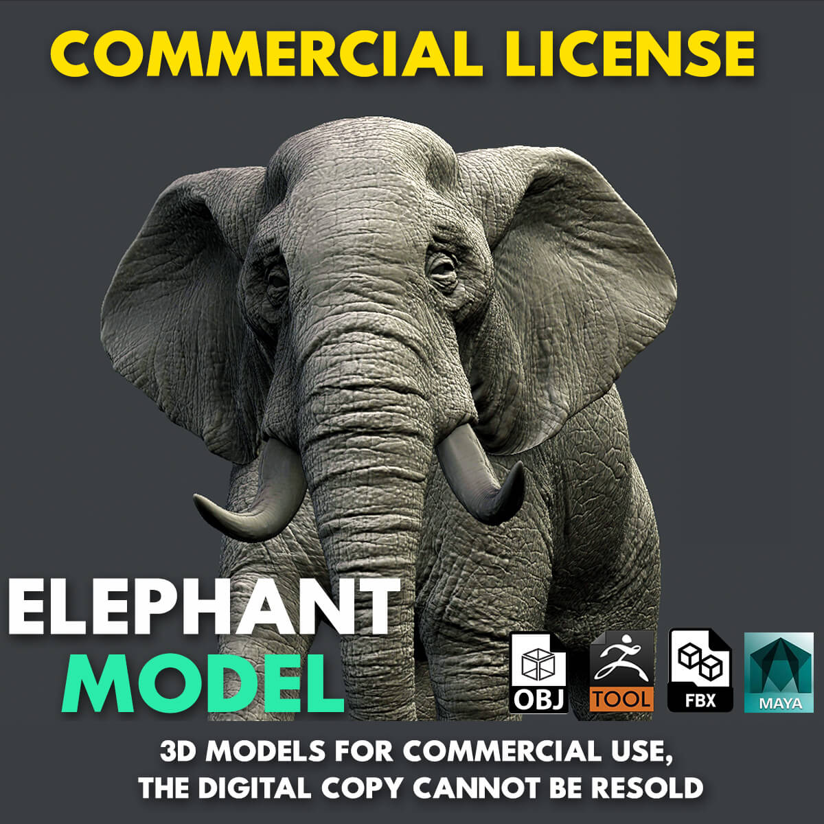 Elephant Model by Tsering