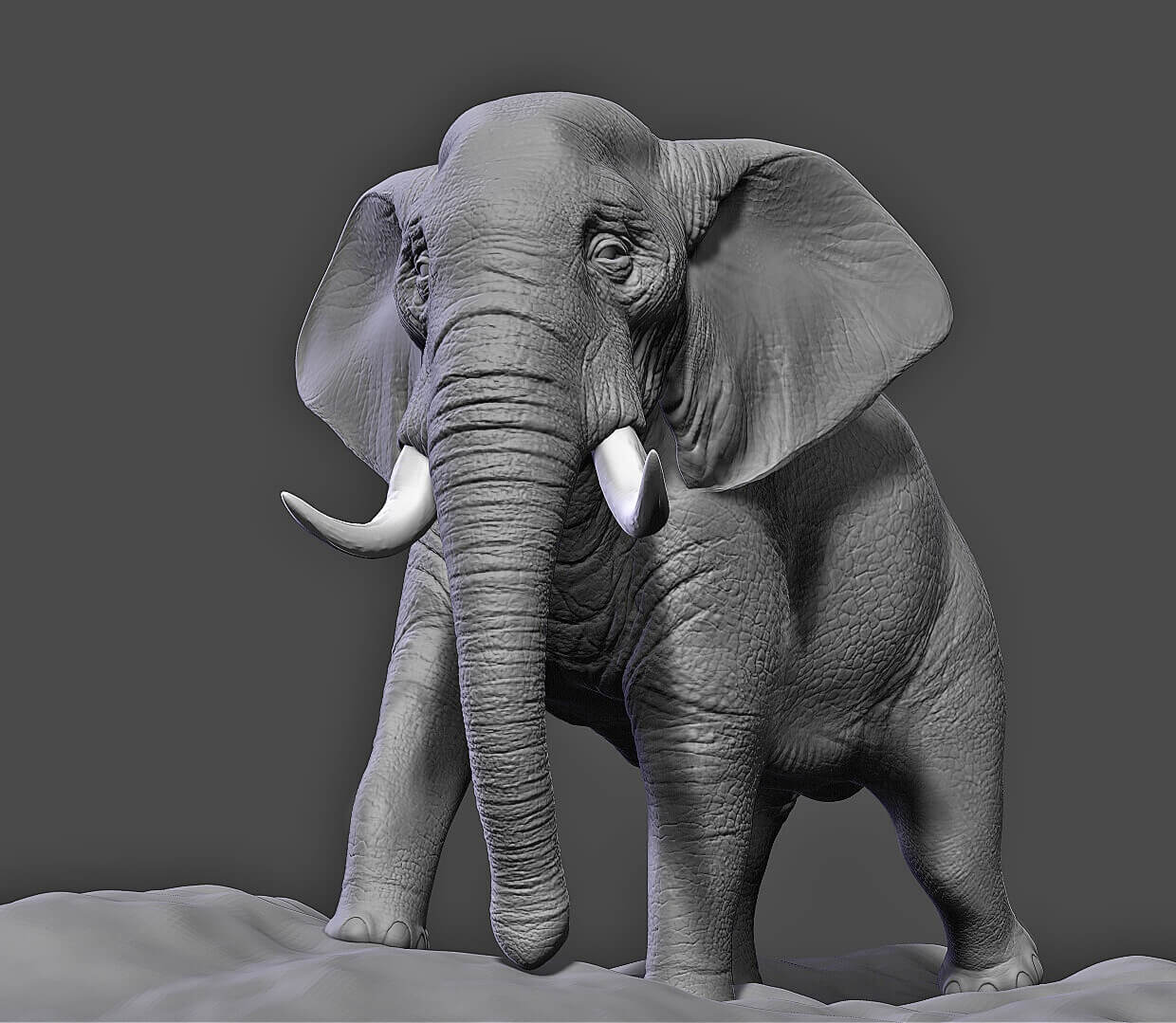 Elephant Model by Tsering