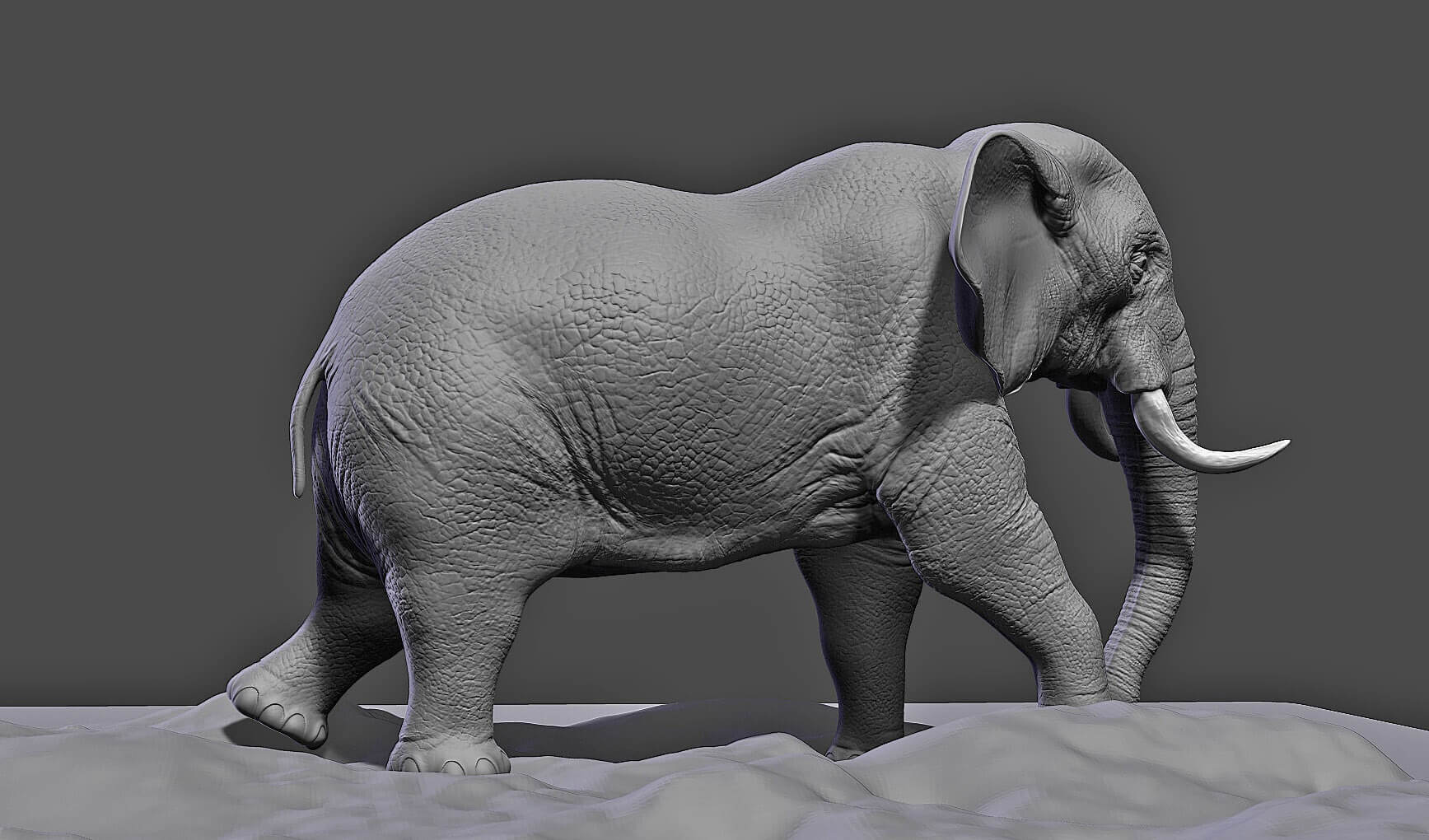 Elephant Model by Tsering