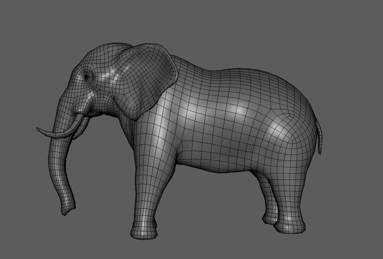 Elephant Model by Tsering