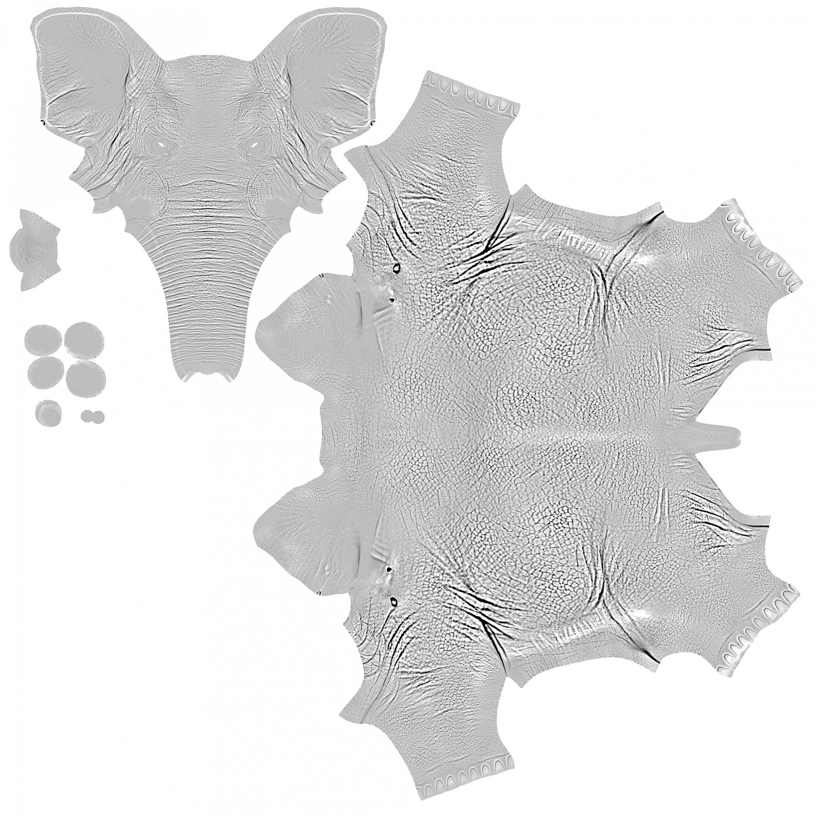 Elephant Model by Tsering