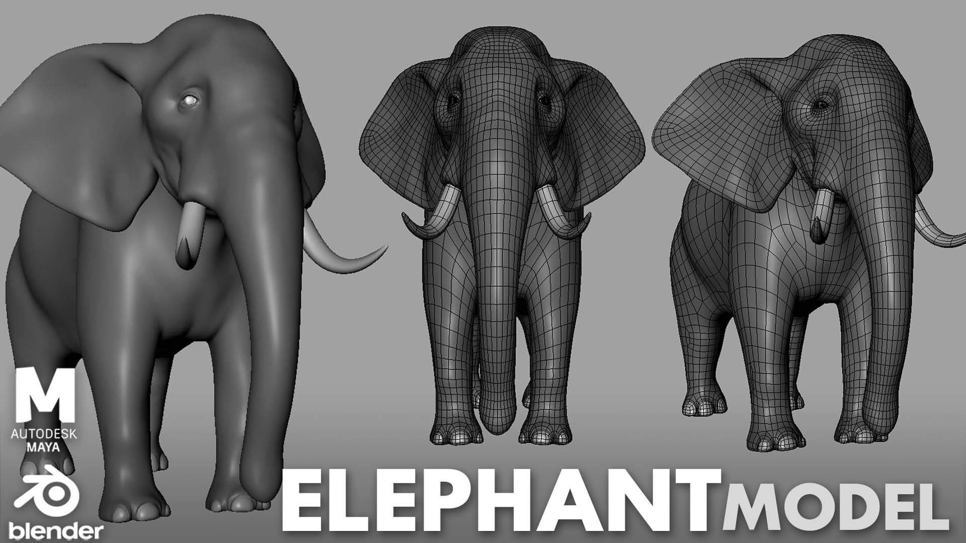 Elephant - Topology + UV Map 3D Model by Tsering