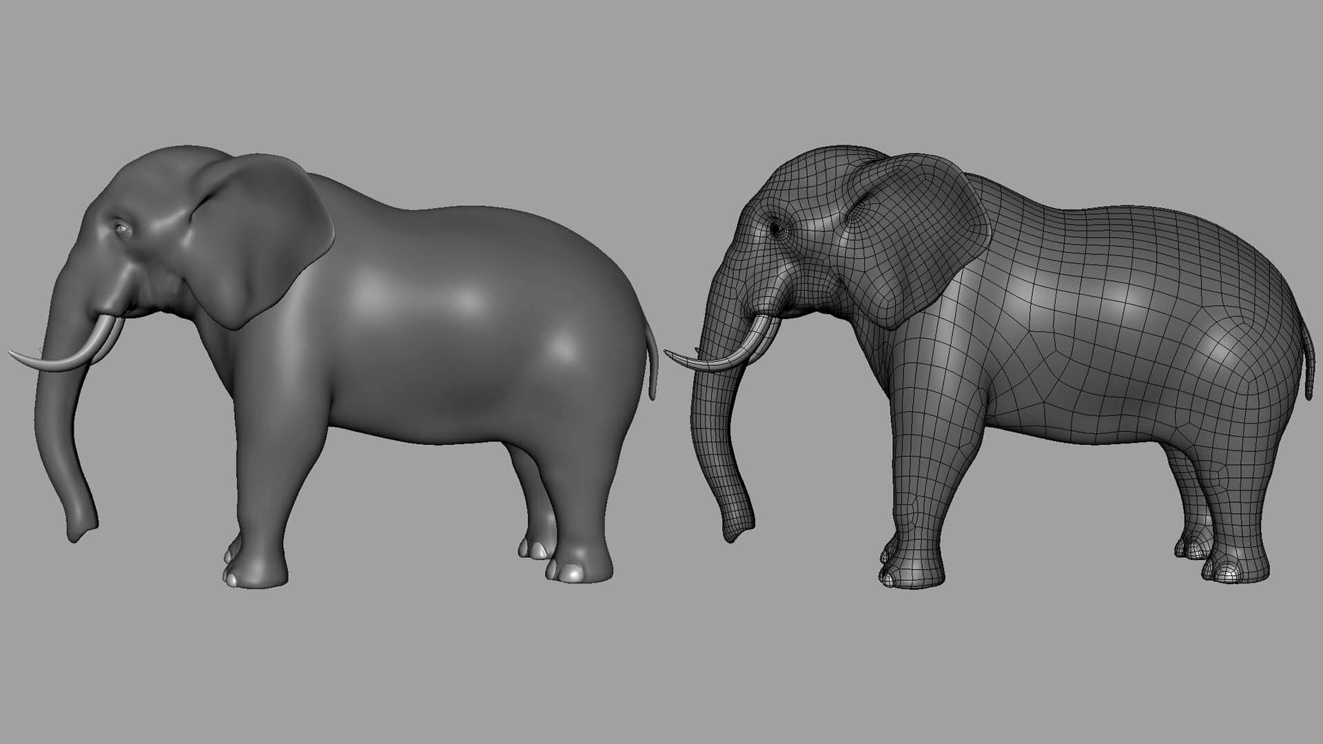 Elephant - Topology UV Map 3D Model by Tsering