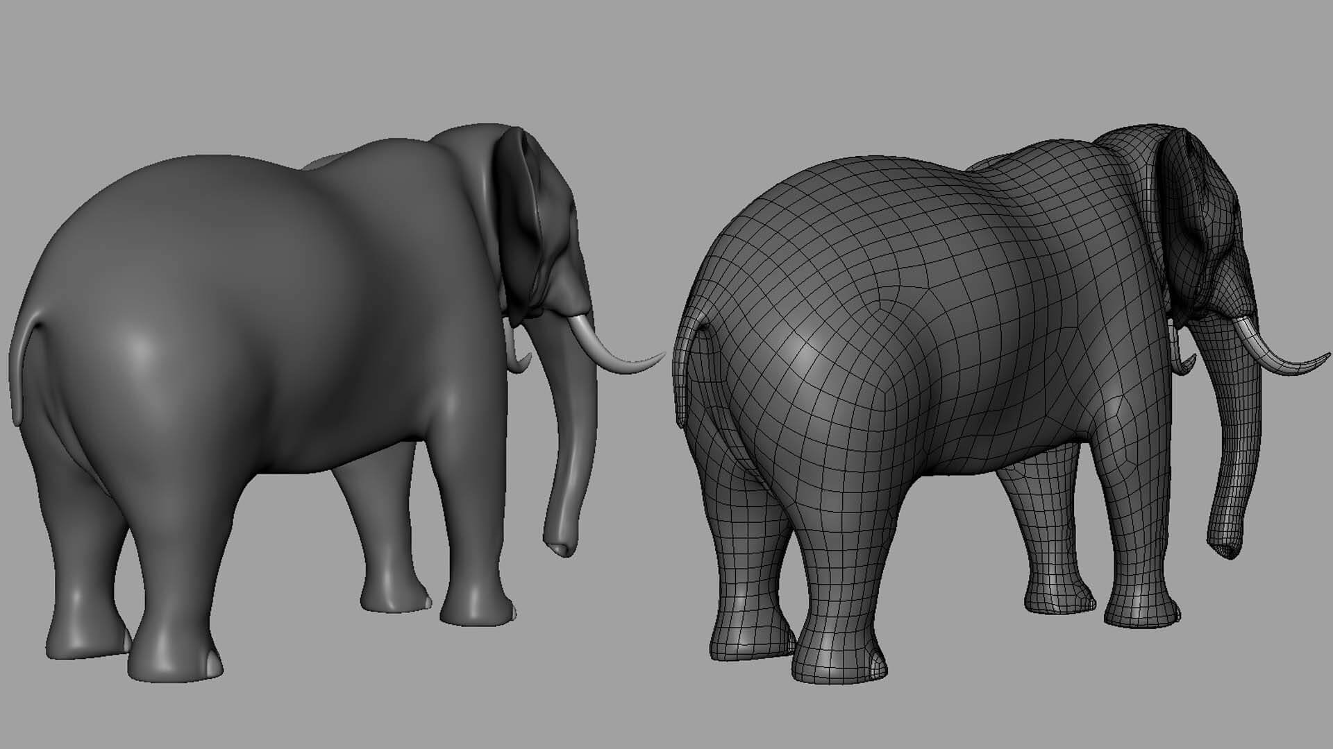 Elephant - Topology UV Map 3D Model by Tsering