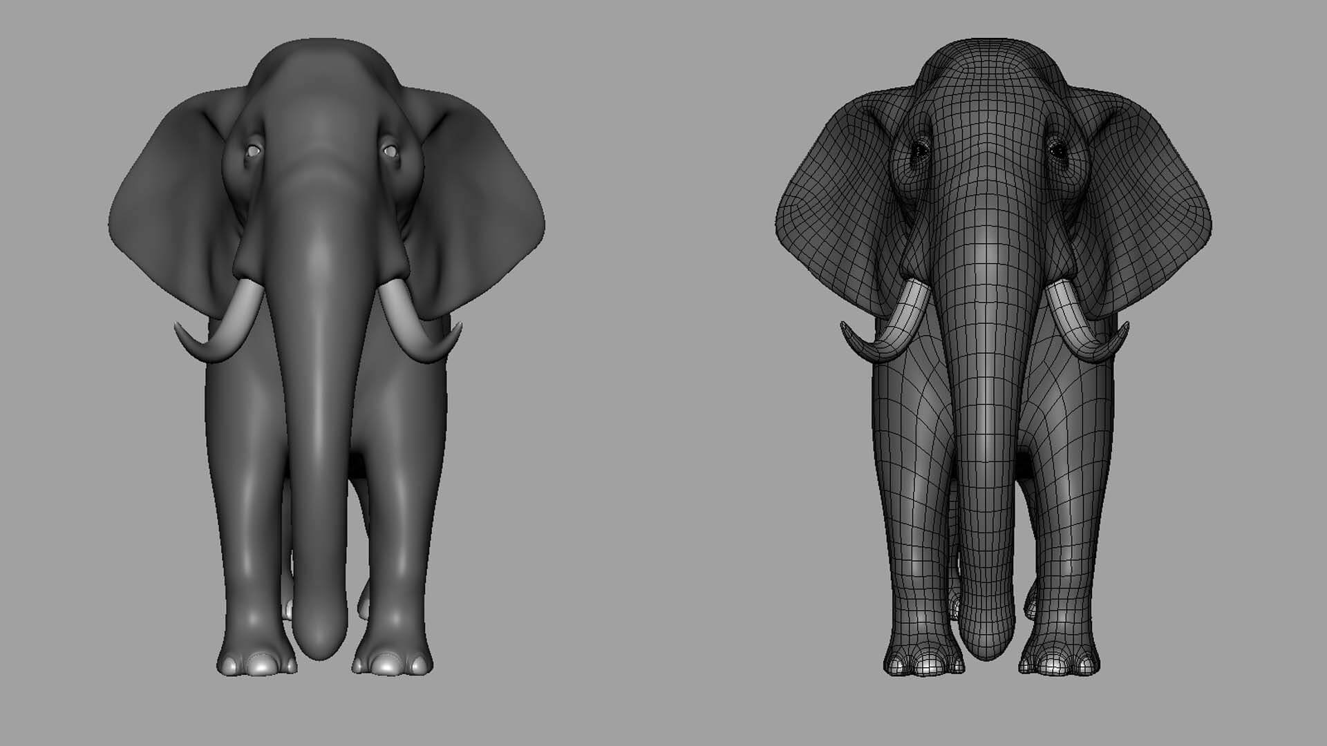 Elephant - Topology UV Map 3D Model by Tsering
